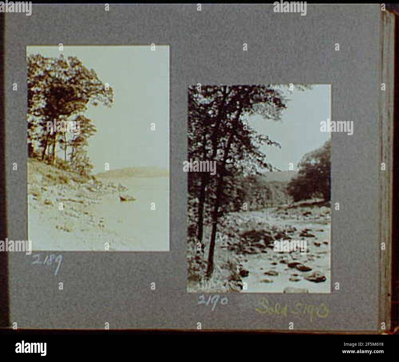 Reference prints, 1919-1920, numbers 2133-2377 Stock Photo - Alamy