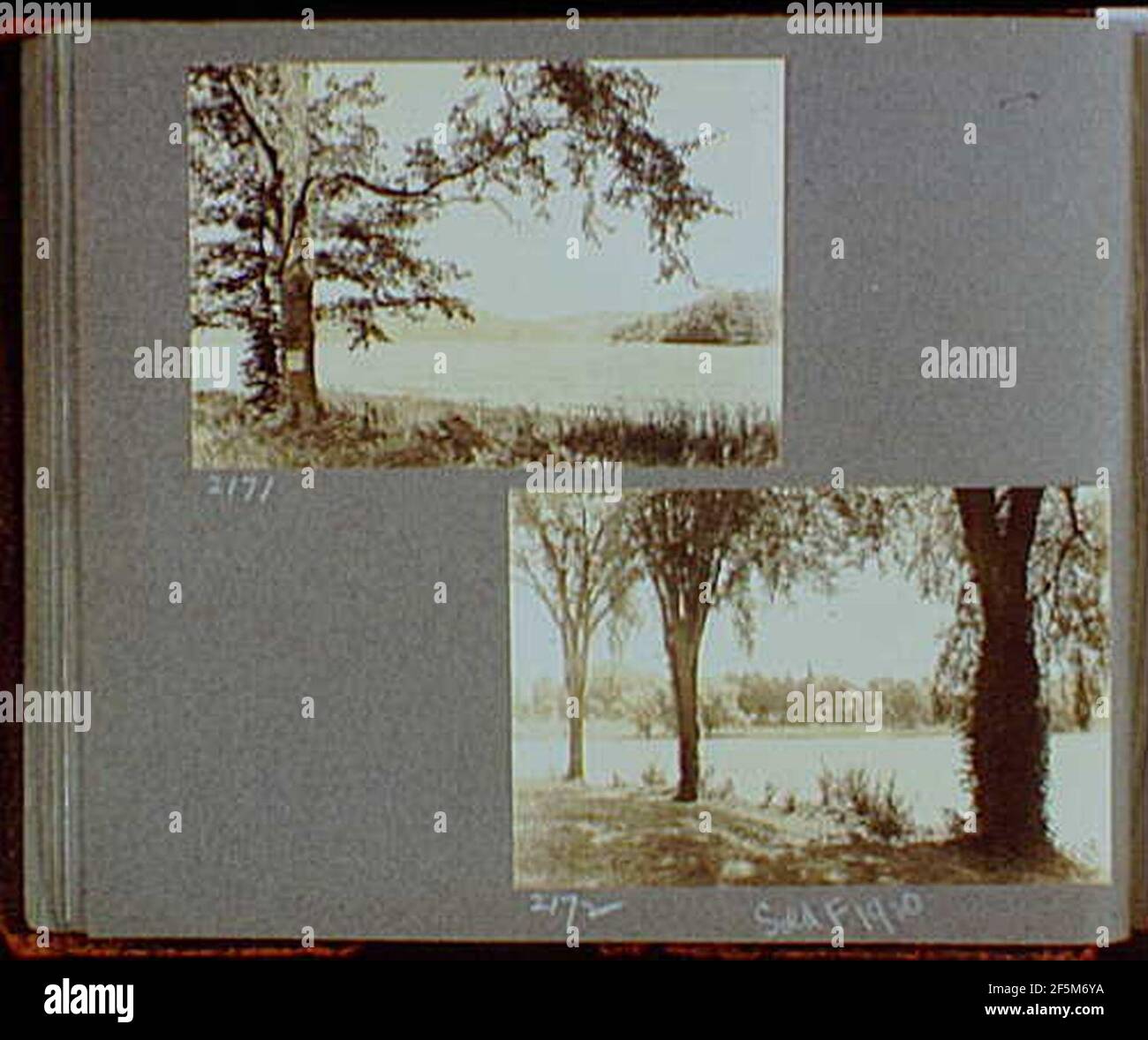 Reference prints, 1919-1920, numbers 2133-2377 Stock Photo - Alamy