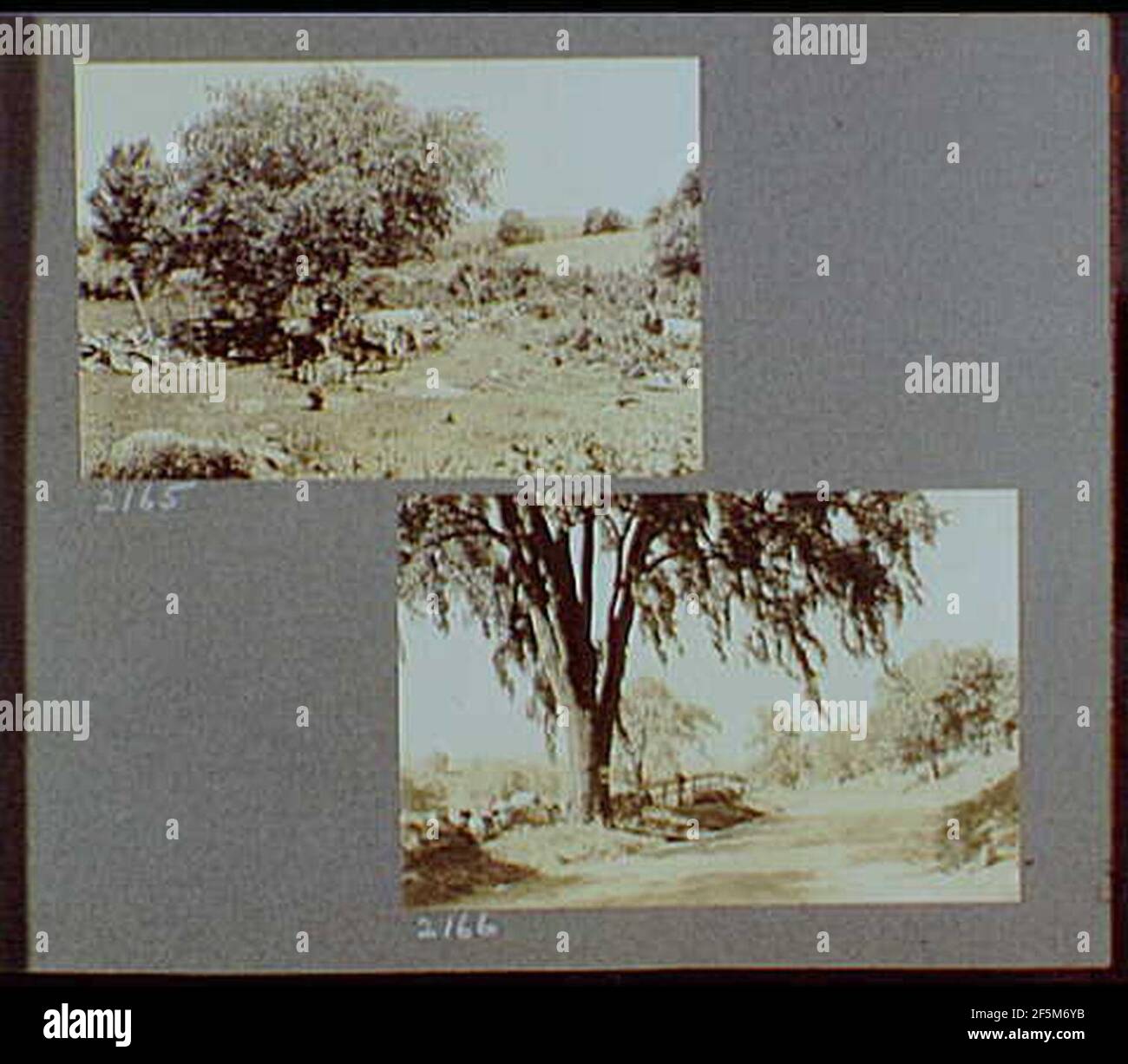 1919 prints hi-res stock photography and images - Alamy