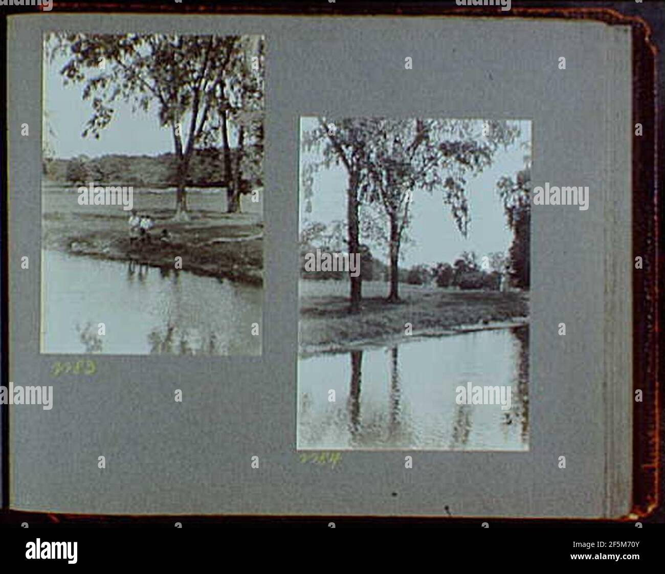 Reference prints, 1919-1920, numbers 2133-2377 Stock Photo - Alamy