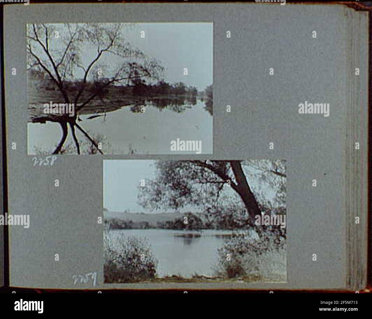 Reference prints, 1919-1920, numbers 2133-2377 Stock Photo - Alamy