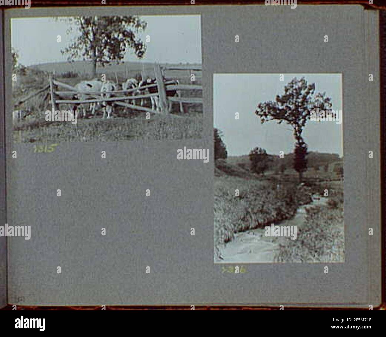 Reference prints, 1919-1920, numbers 2133-2377 Stock Photo - Alamy