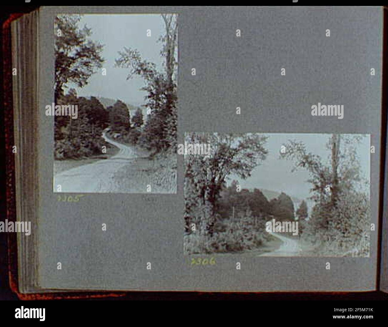 Reference prints, 1919-1920, numbers 2133-2377 Stock Photo - Alamy