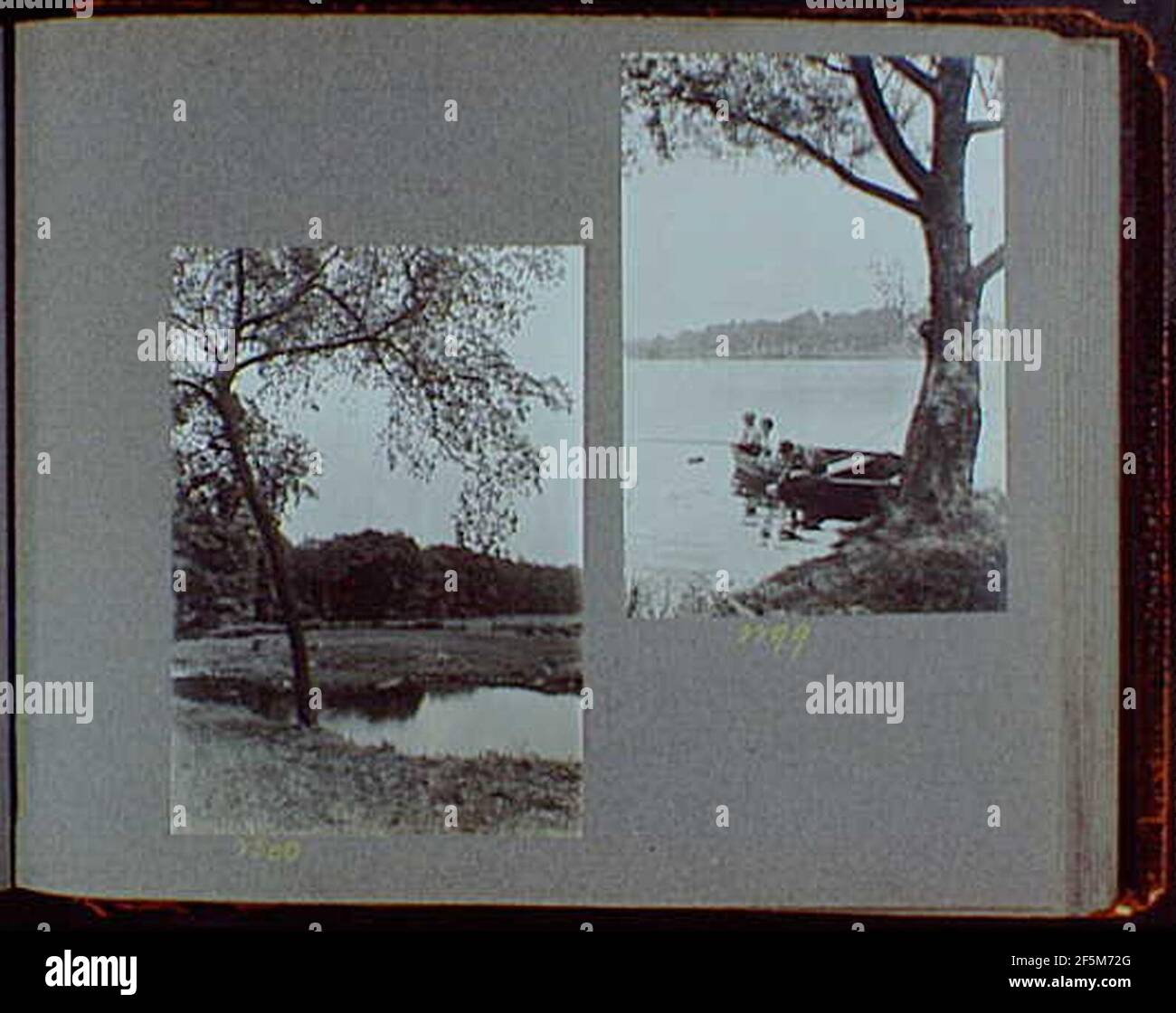 Reference prints, 1919-1920, numbers 2133-2377 Stock Photo - Alamy