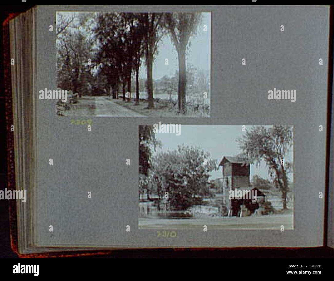 1919 prints hi-res stock photography and images - Alamy
