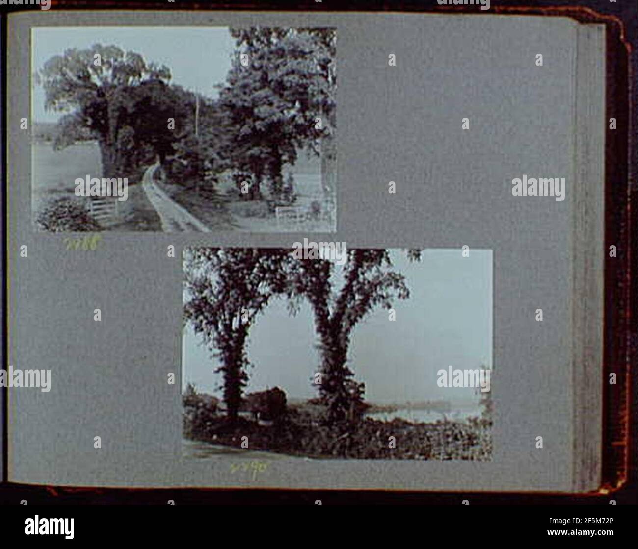 Reference prints, 1919-1920, numbers 2133-2377 Stock Photo - Alamy