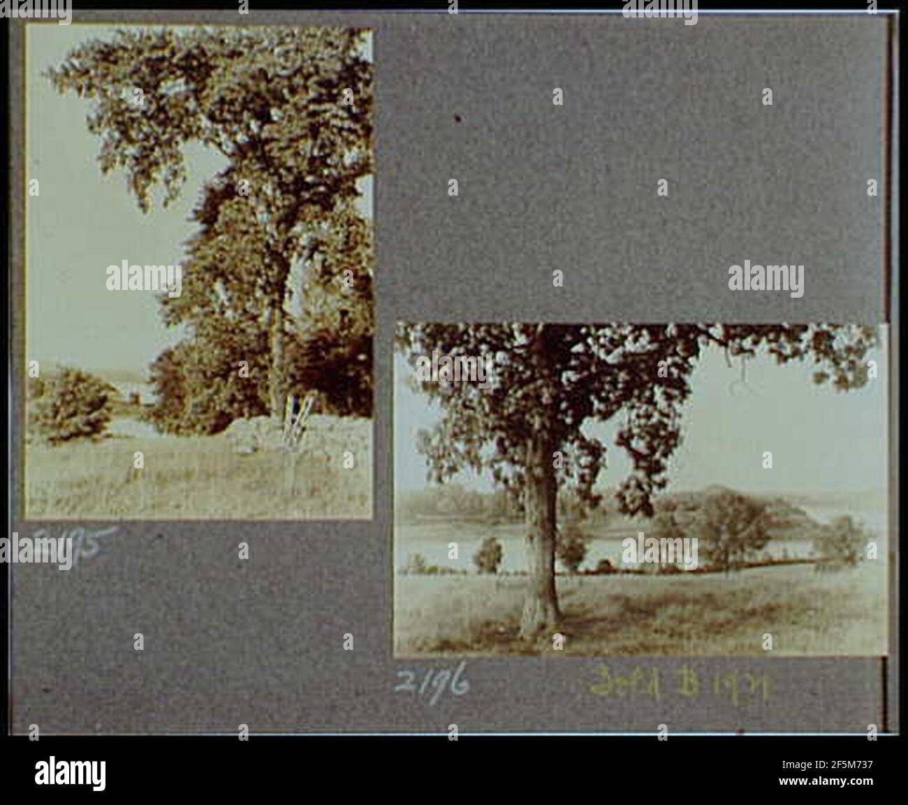 Reference prints, 1919-1920, numbers 2133-2377 Stock Photo - Alamy