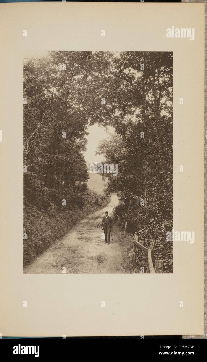 Devonshire lane hi-res stock photography and images - Alamy
