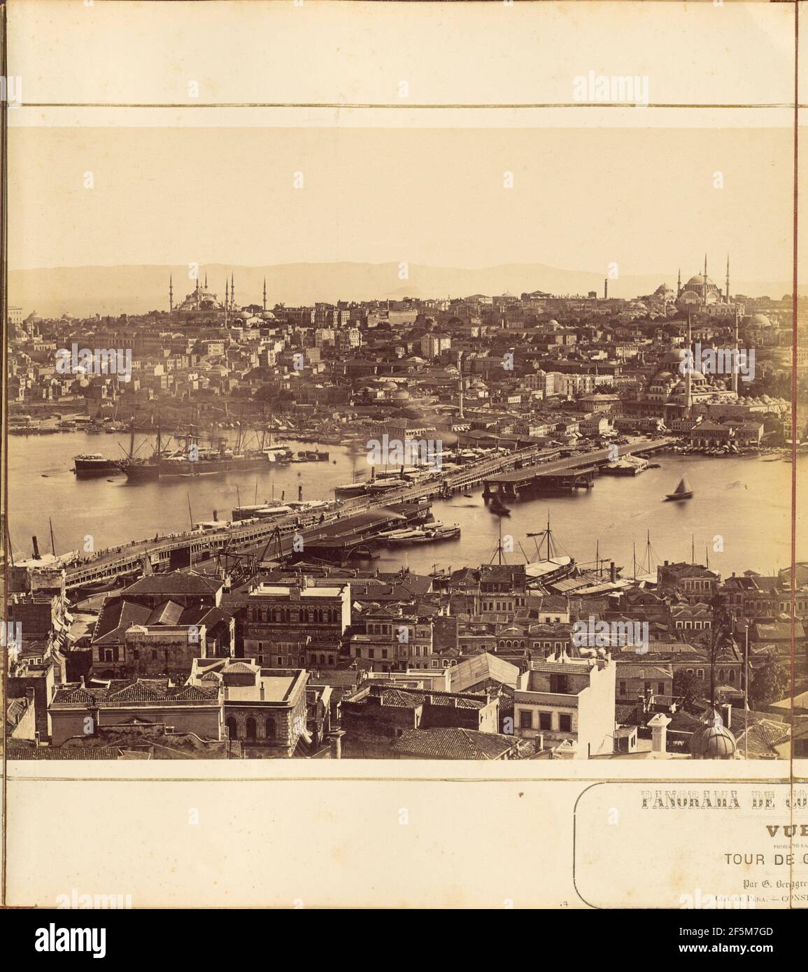 Plate 7. G. Berggren (Swedish, 1835 - 1920 Stock Photo - Alamy