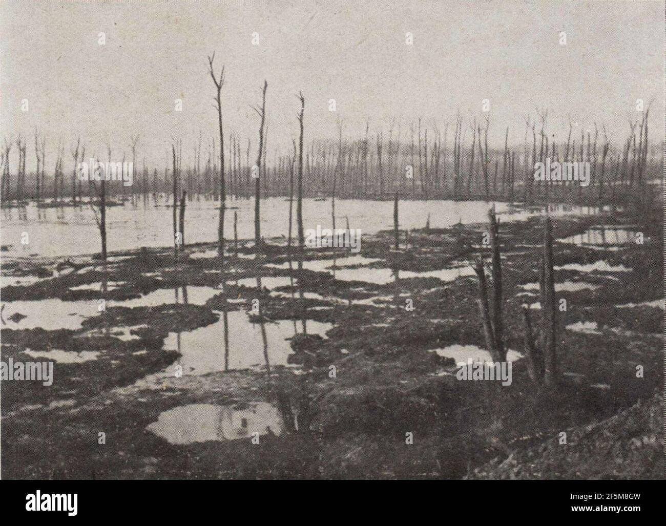 Kippe hi-res stock photography and images - Alamy