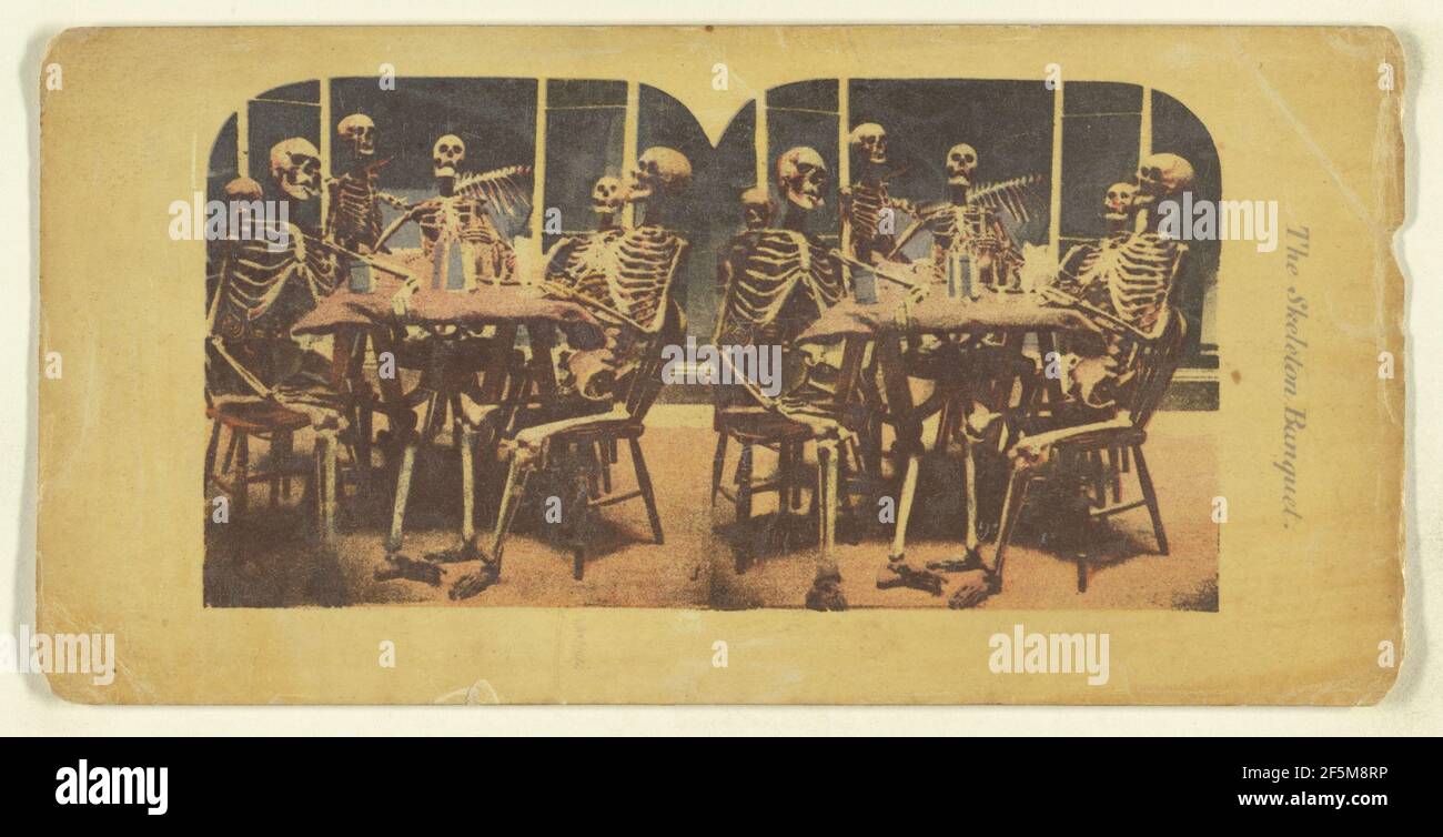 The Skeleton Banquet.. Attributed to London Stereoscopic Company ...