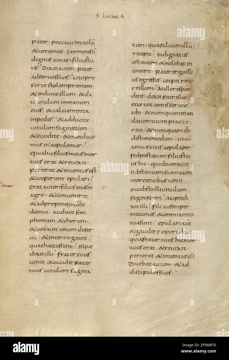 Manuscript page fragment hi-res stock photography and images - Alamy
