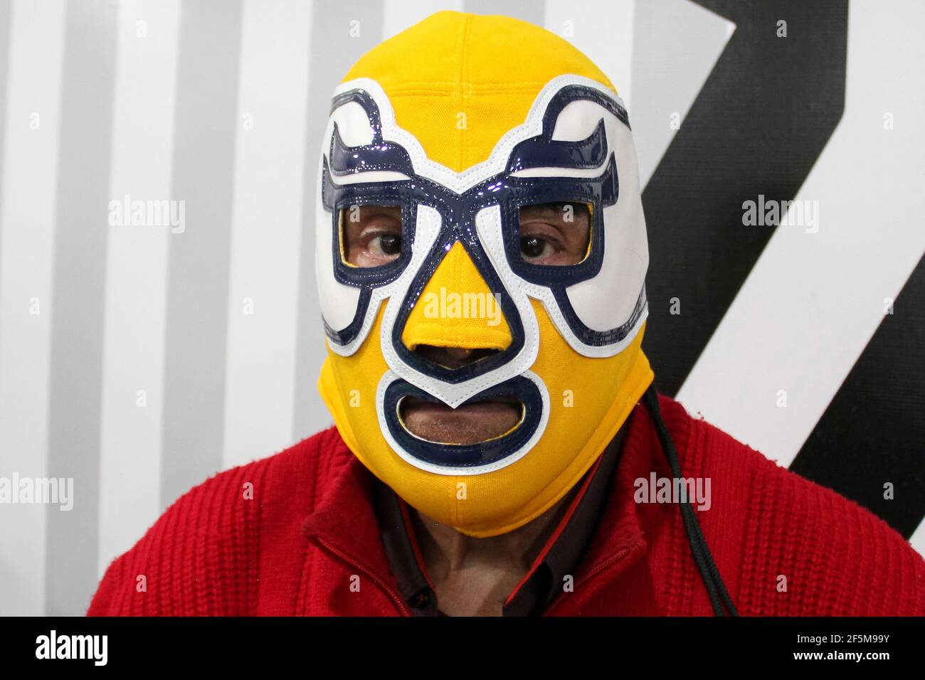 MEXICO CITY, MEXICO - NOVEMBER 7: Wrestler El Halcon seen during Expo ...
