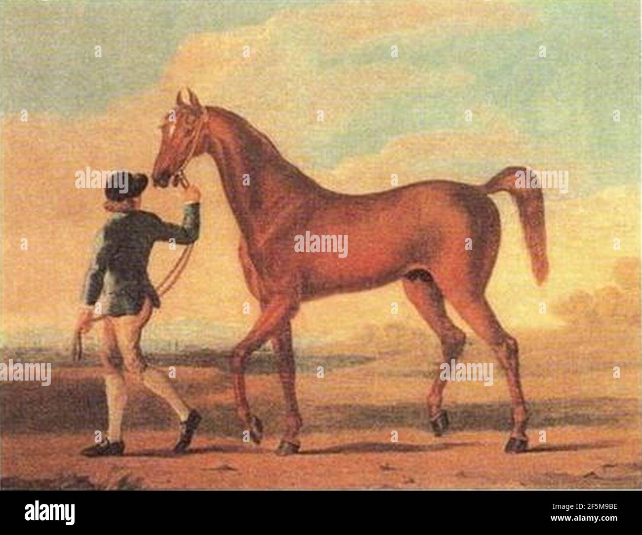 Richard Roper High Resolution Stock Photography and Images - Alamy