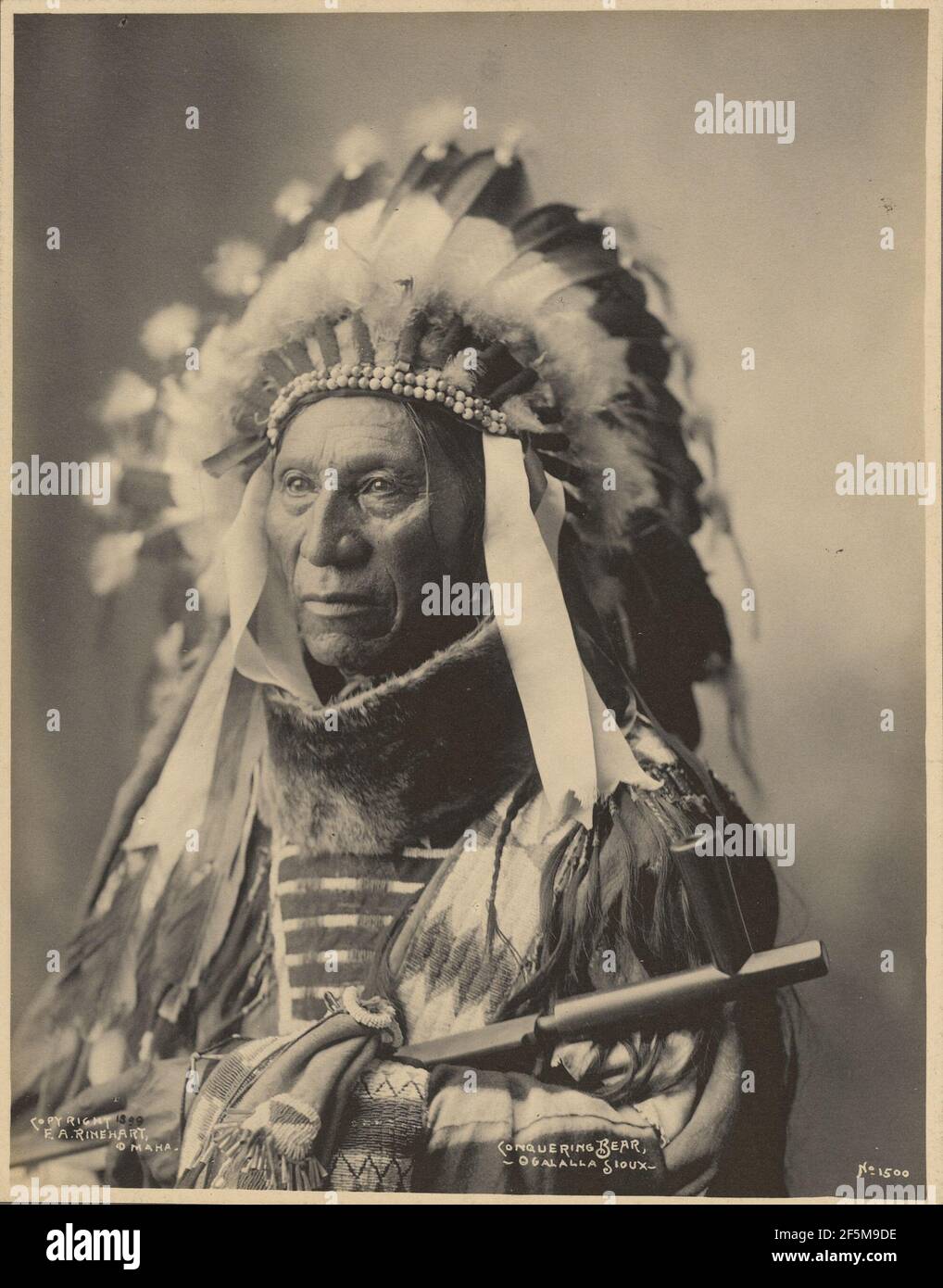 Conquering bear hi-res stock photography and images - Alamy