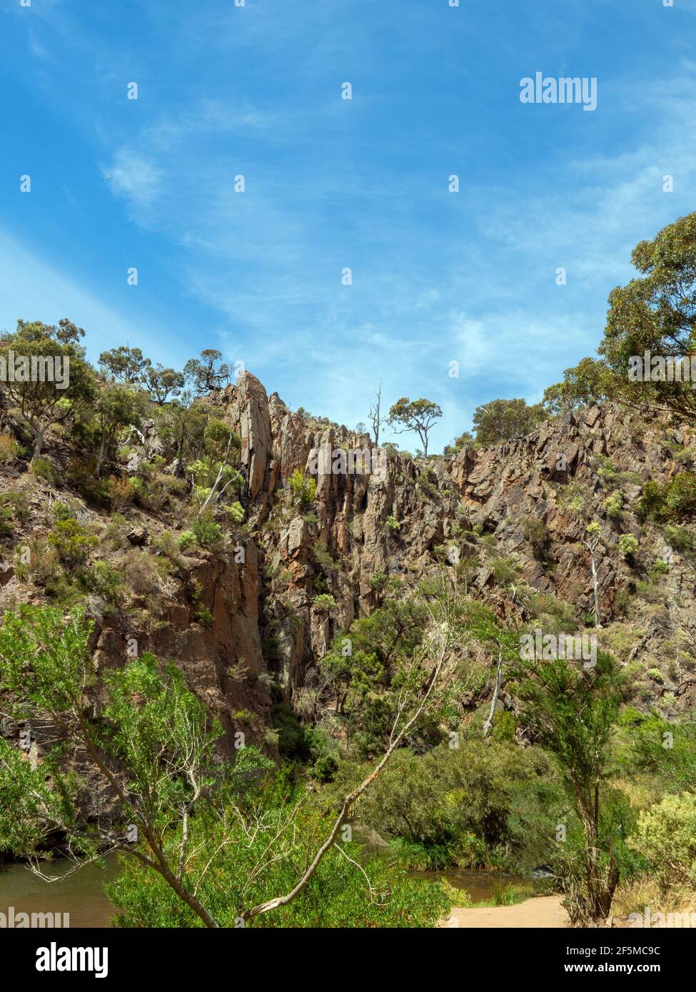 Werribee Gorge Circuit Walk, Werribee Gorge State Park, Victoria Stock ...
