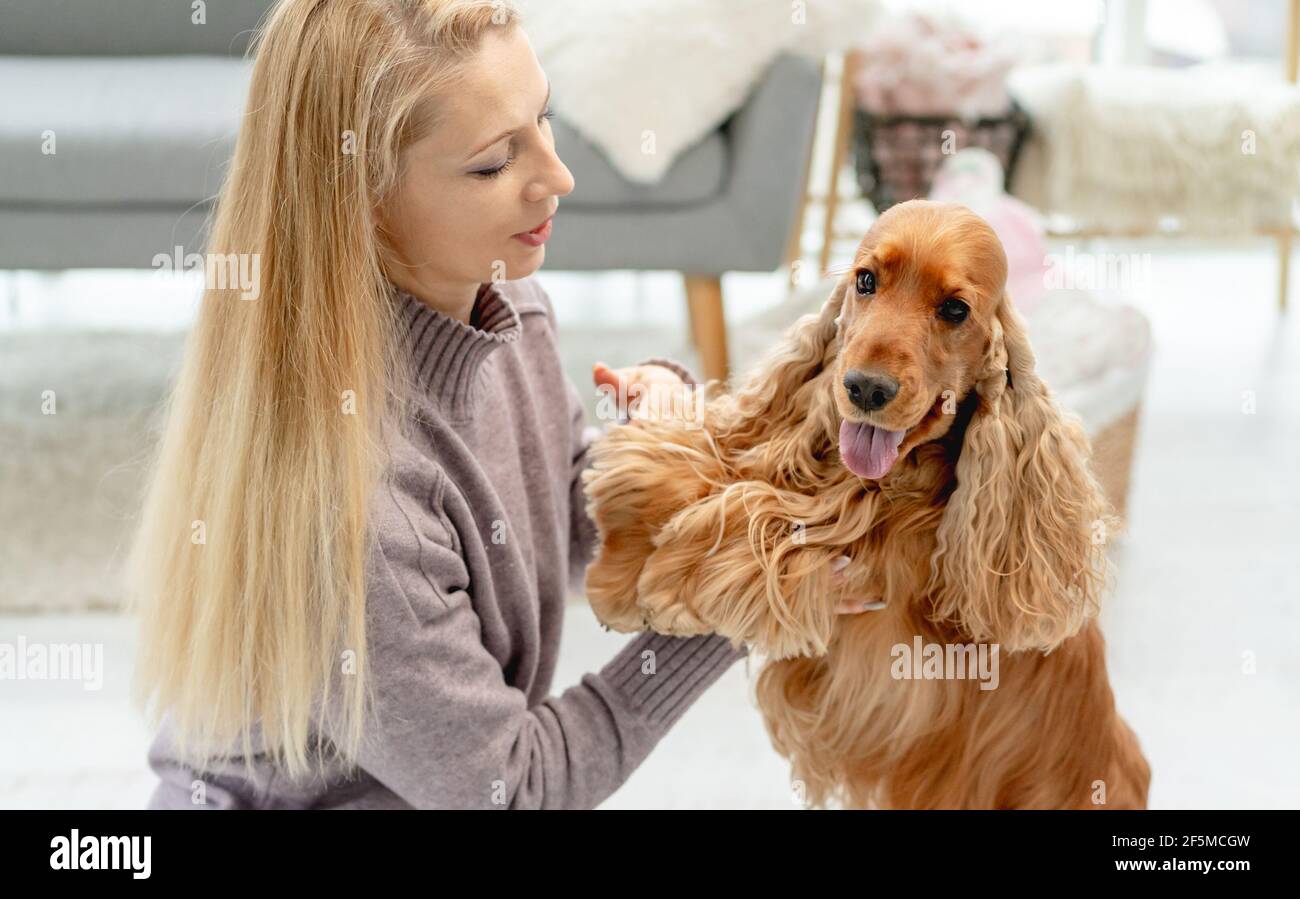 Woman english cocker spaniel hi-res stock photography and images - Alamy