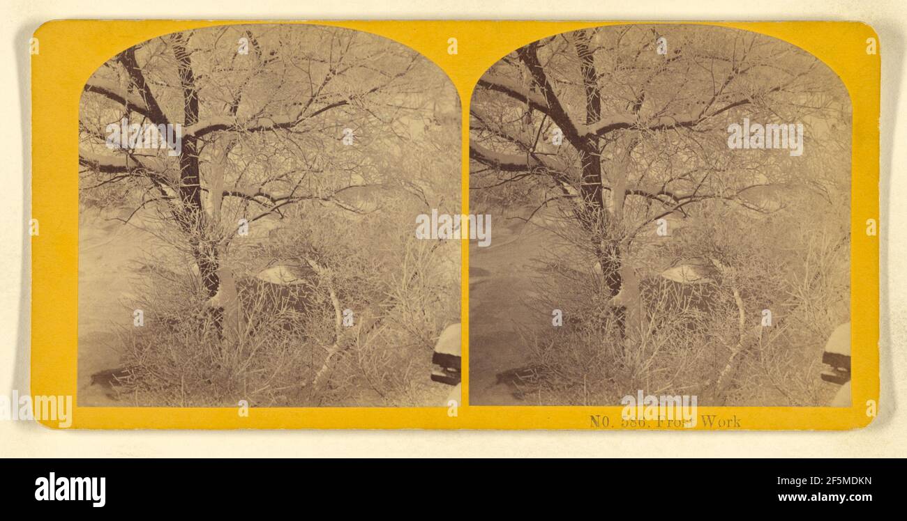 Frost Work. Benjamin West Kilburn (American, 1827 - 1909 Stock Photo ...