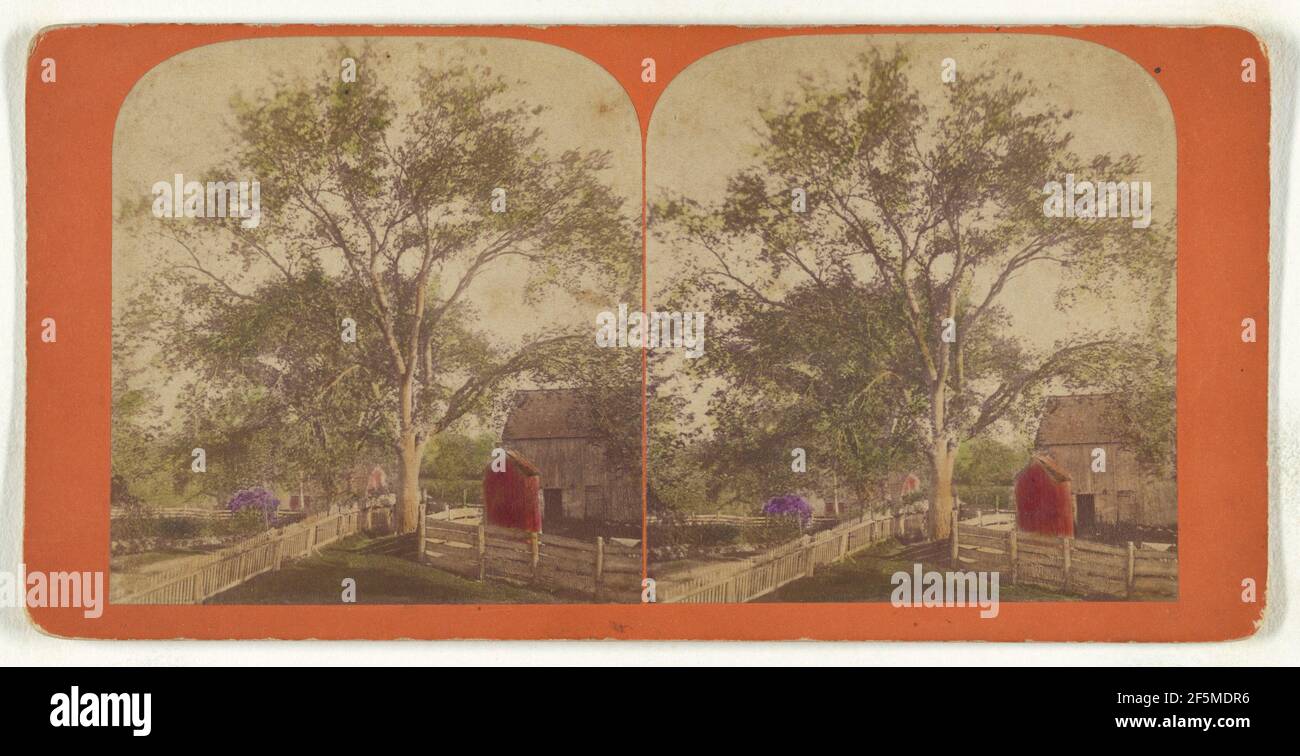 Bushy structures hi-res stock photography and images - Alamy