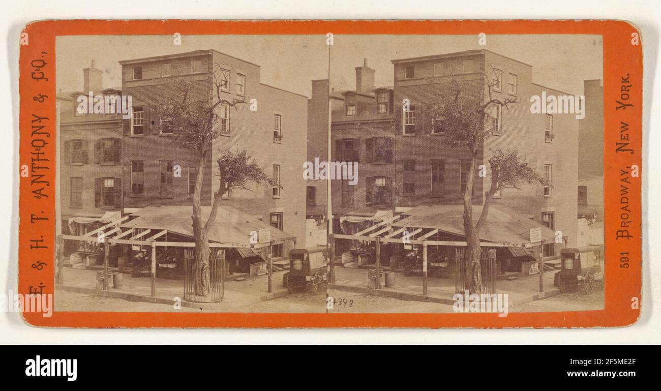 The old Stuyvesant Pear Tree, corner 3d Avenue and 13th St. New York ...