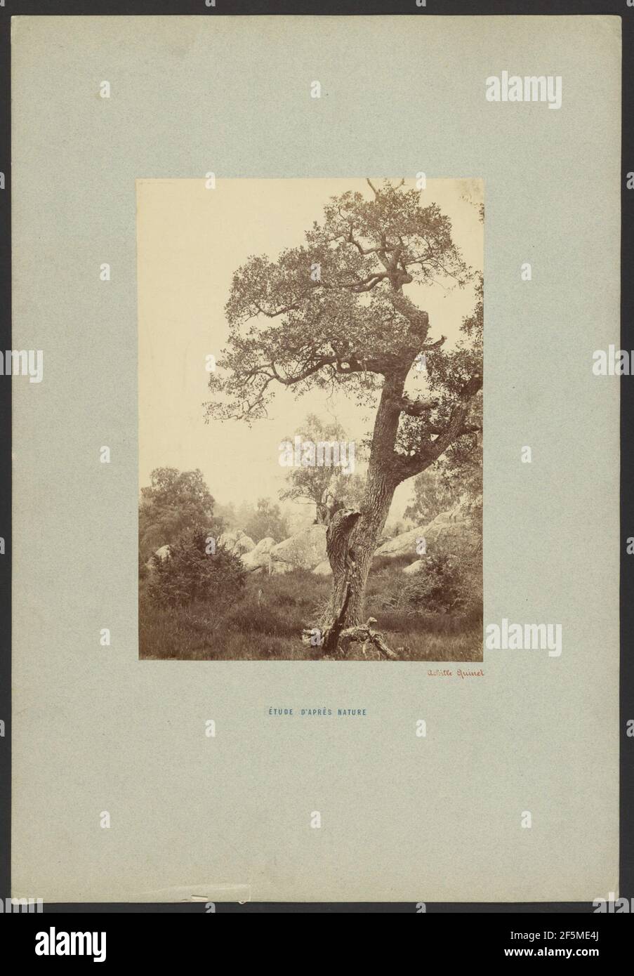 Achille quinet hi-res stock photography and images - Alamy