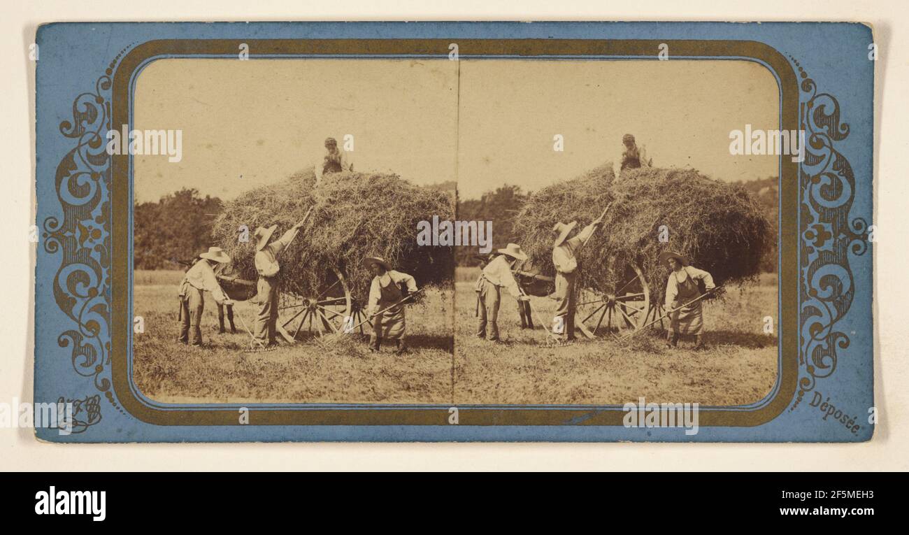 French workers pitching hay in wagon. Fraget & Viret Stock Photo - Alamy