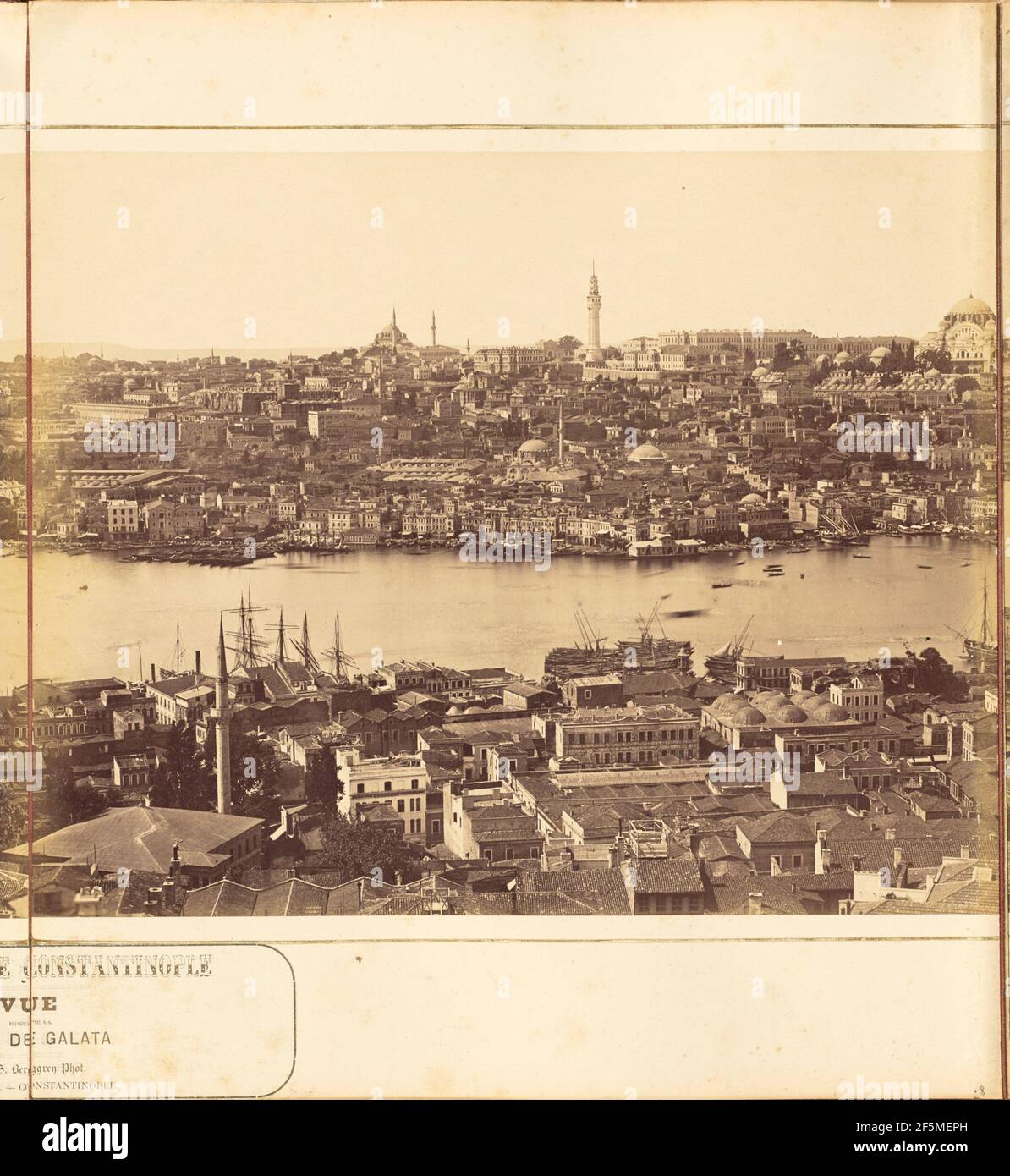 Plate 8. G. Berggren (Swedish, 1835 - 1920 Stock Photo - Alamy