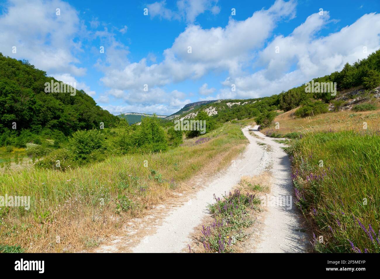 Mountain road with green meadows and mountain peaks under the blue sky ...