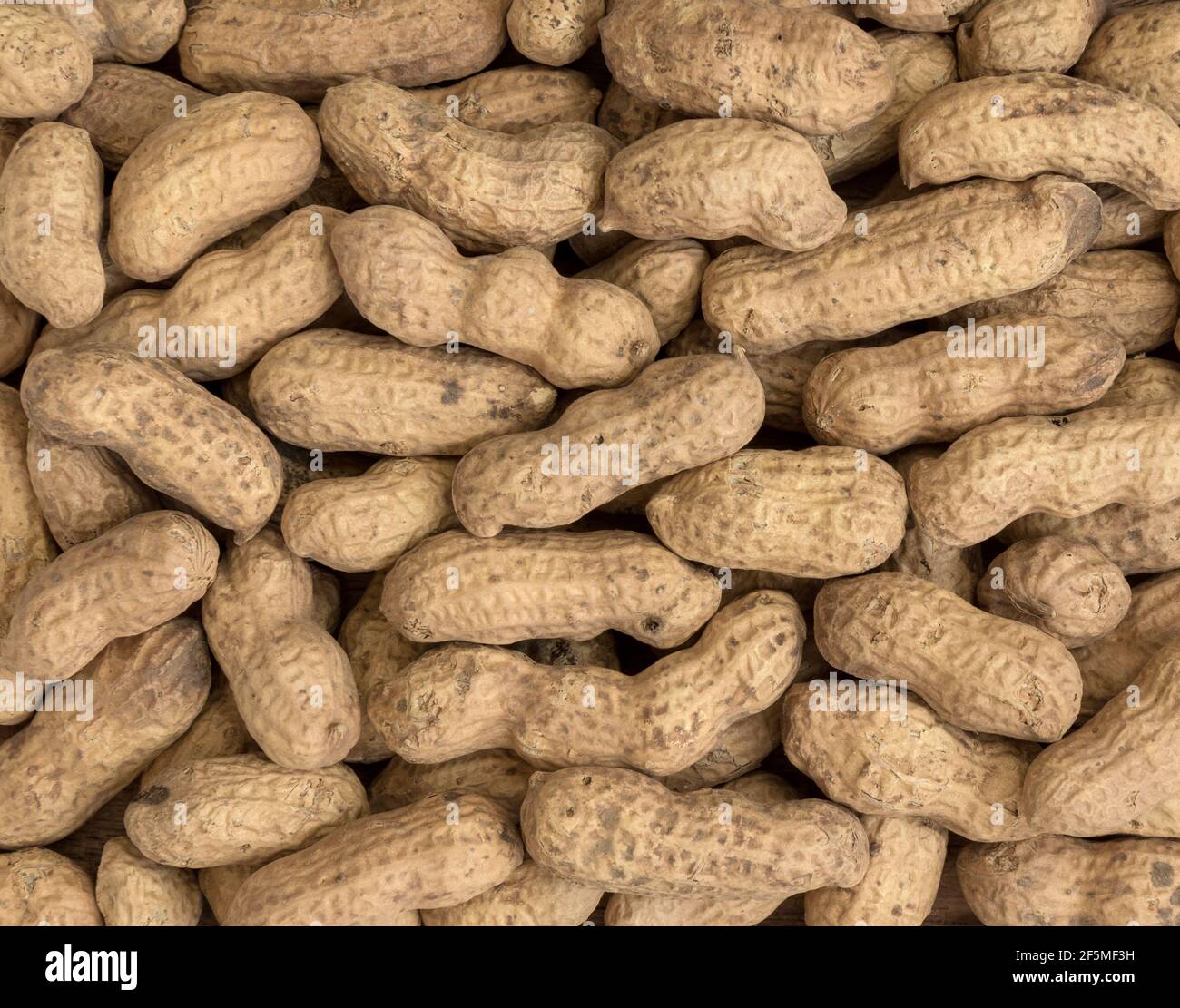 Peanuts seed. Many groundnuts in shells. Peanuts background. Raw ...
