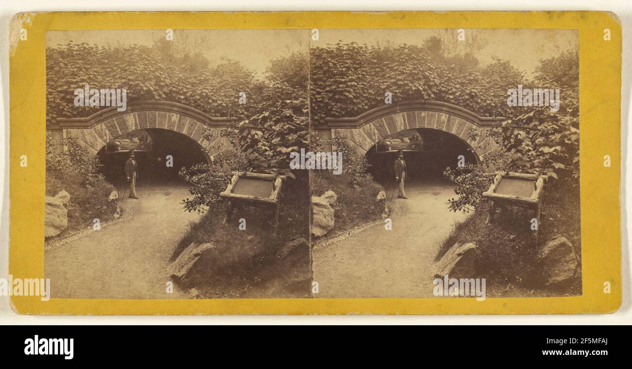 Central Park, New York. The Stone Bridge near Mt. St. Vincent.. Edward ...