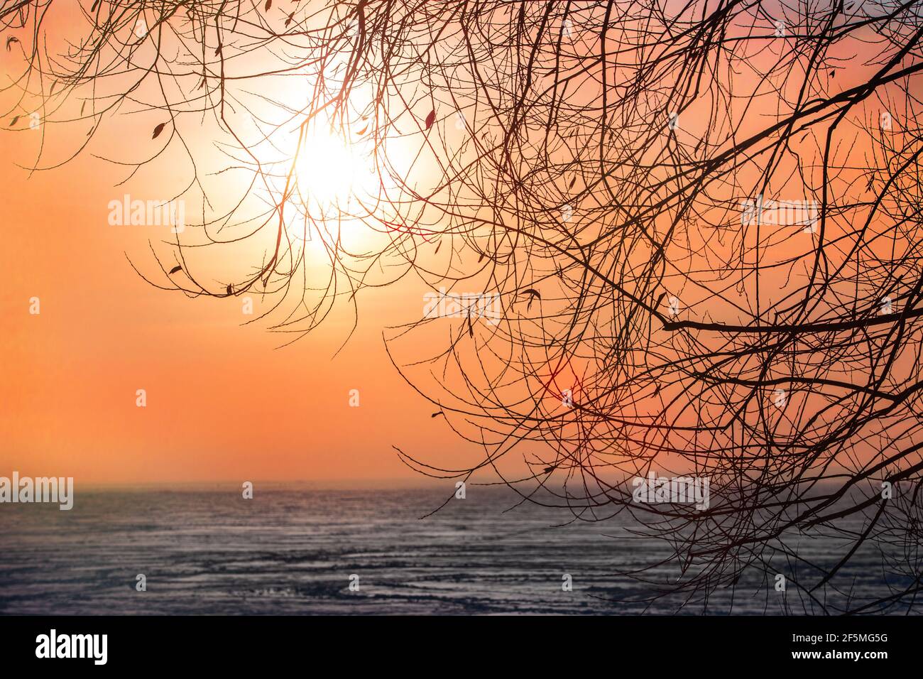 Beautiful sunset sky through frozen hi-res stock photography and images ...