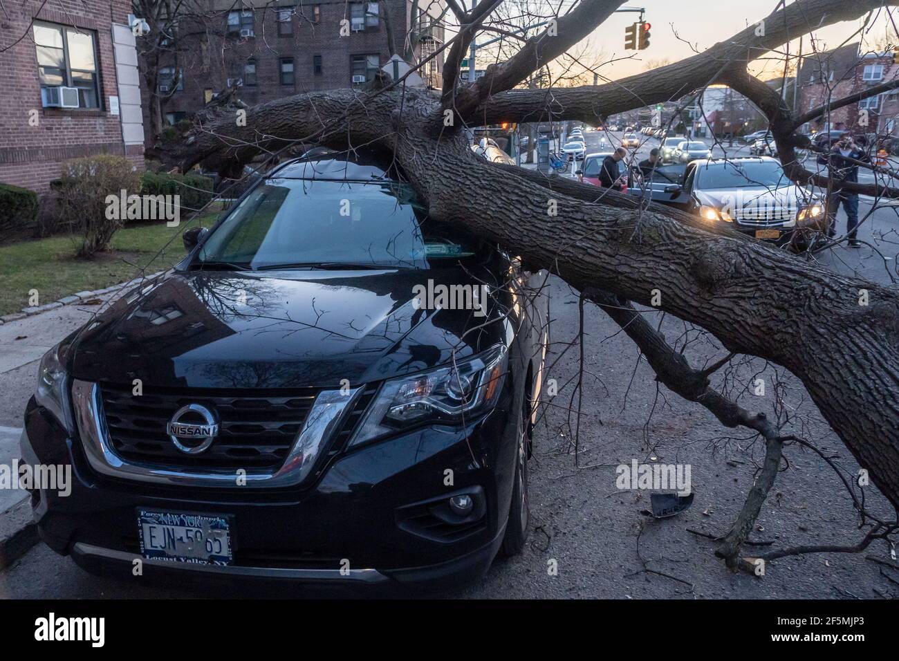 50 mph winds hi-res stock photography and images - Alamy