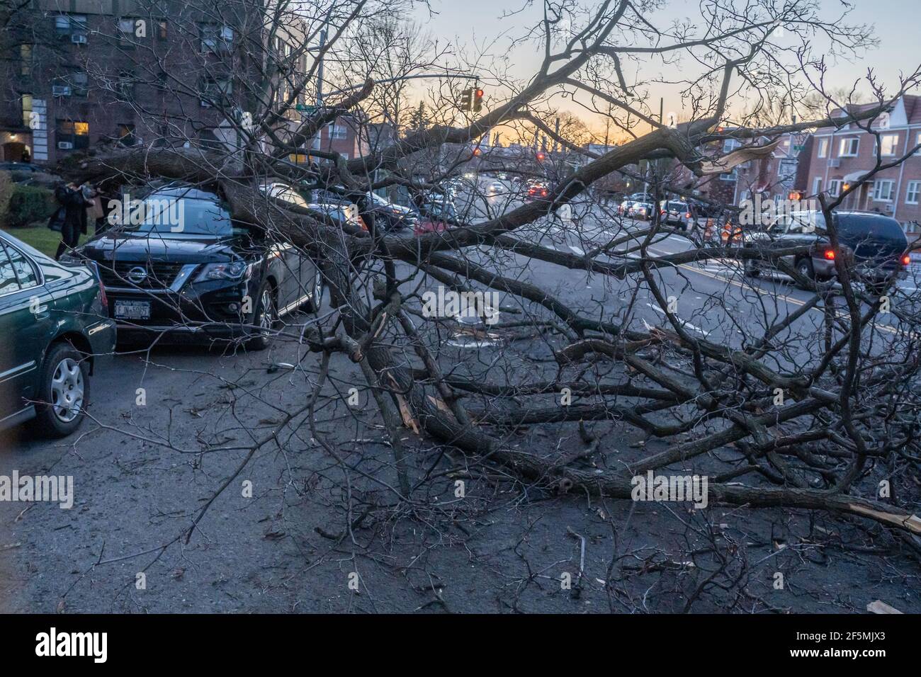 50 mph winds hi-res stock photography and images - Alamy