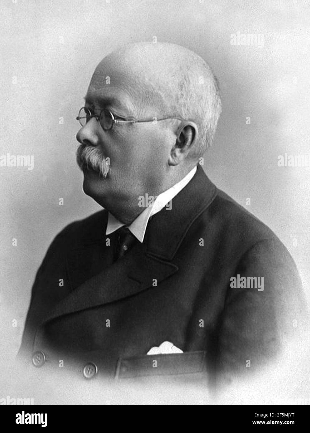 Pyotr D. Boborykin Stock Photo - Alamy