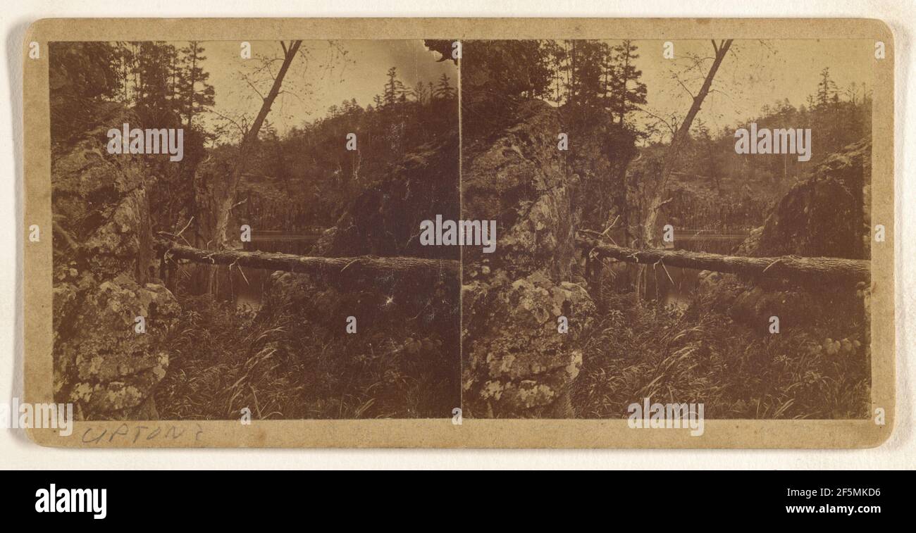 Log over river. Attributed to Benjamin Franklin Upton (American, 1818 ...