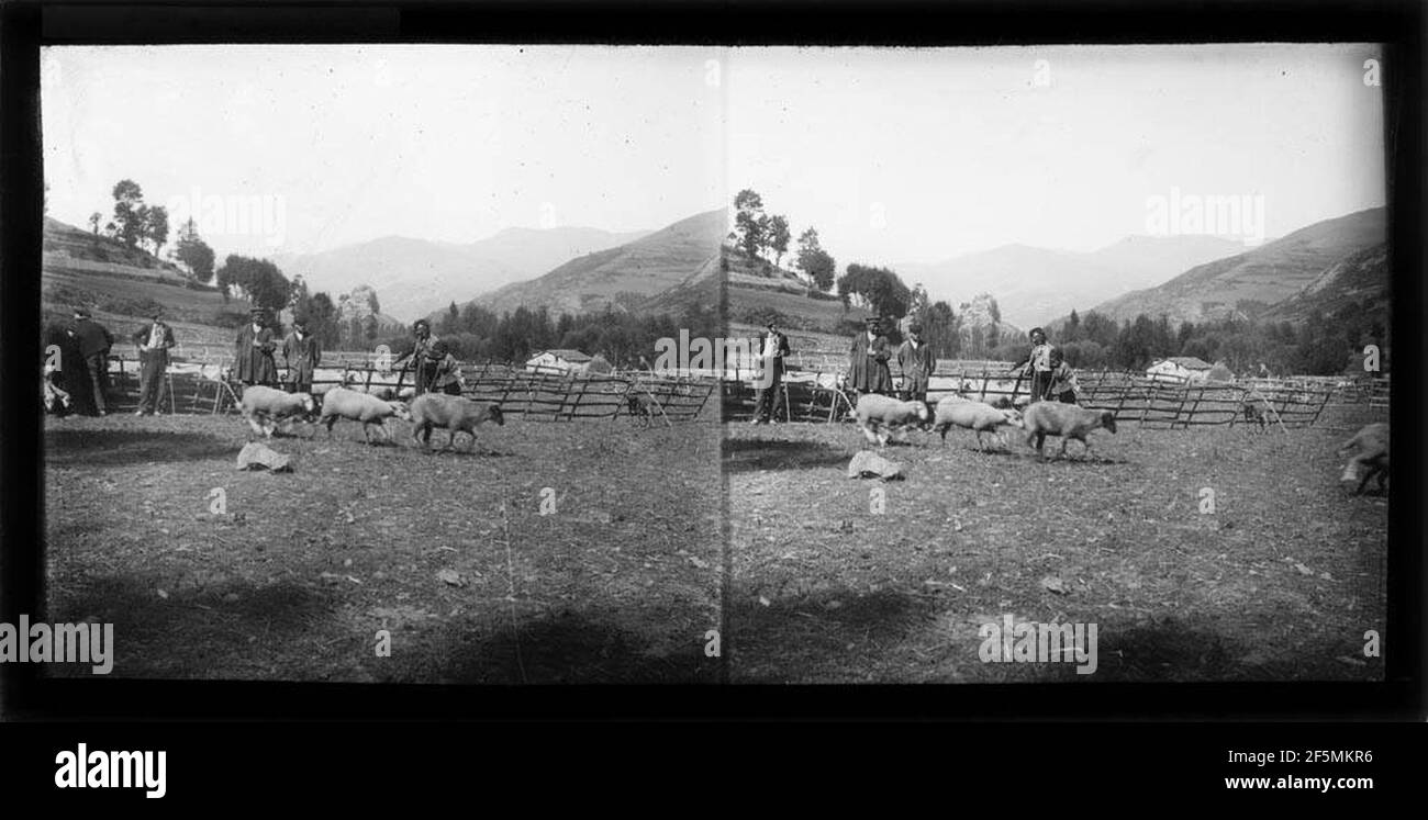 Una vora hi-res stock photography and images - Alamy