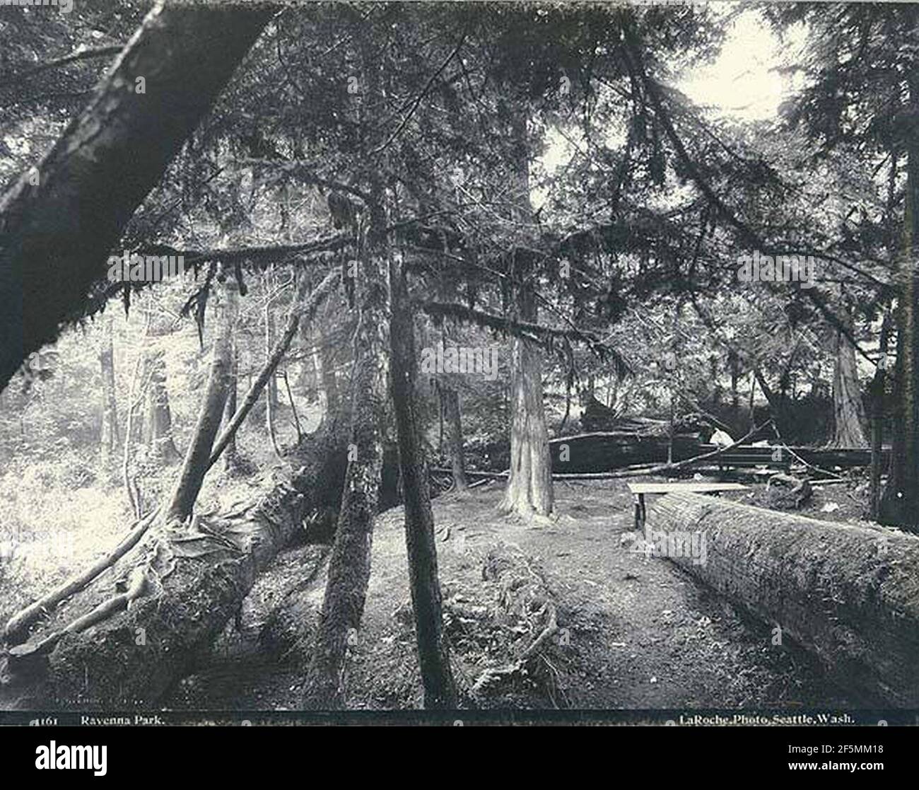 Ravenna seattle washington hi-res stock photography and images - Alamy