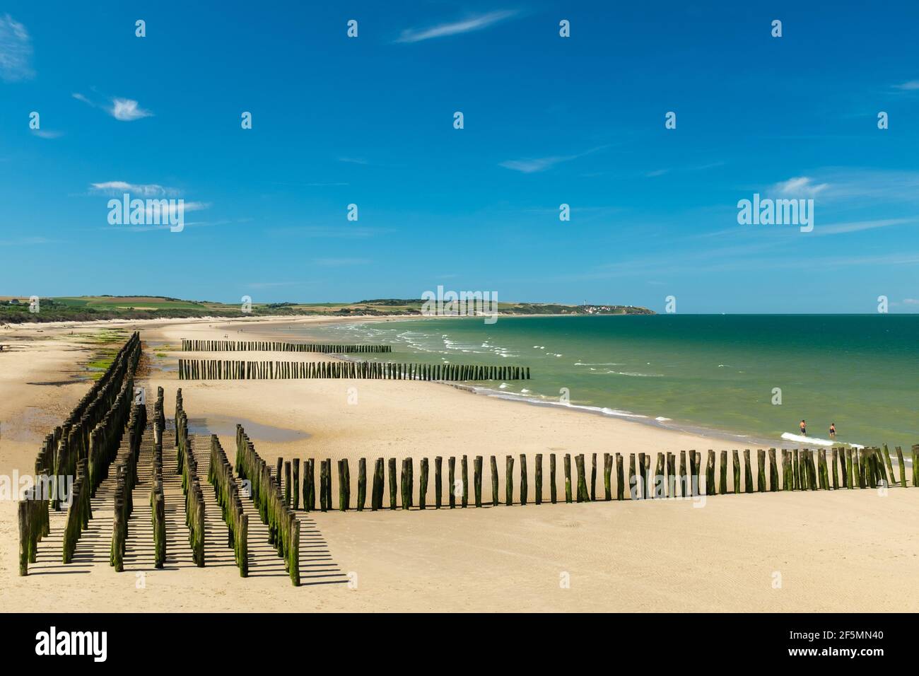 Mussel poles on the beach of Wissant on the Opal Coast in France Stock ...