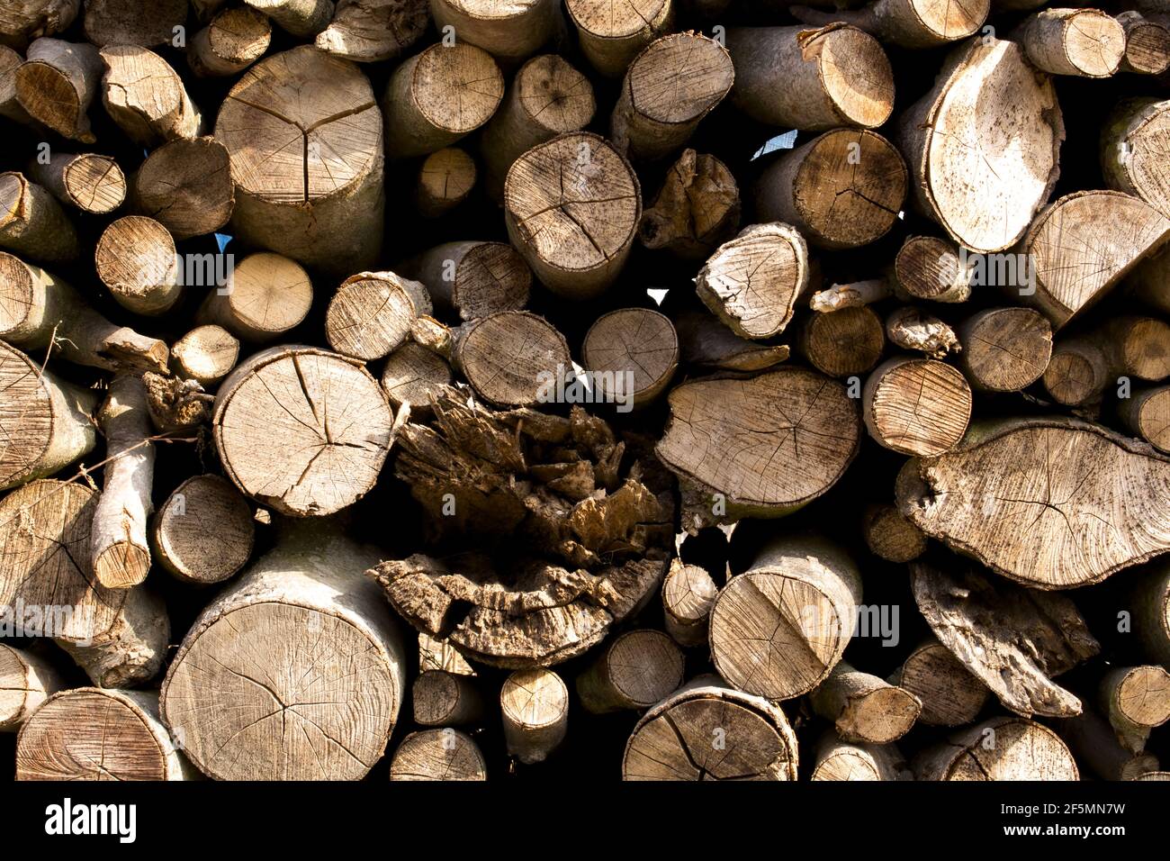 wood flattened into neat stacks Stock Photo - Alamy