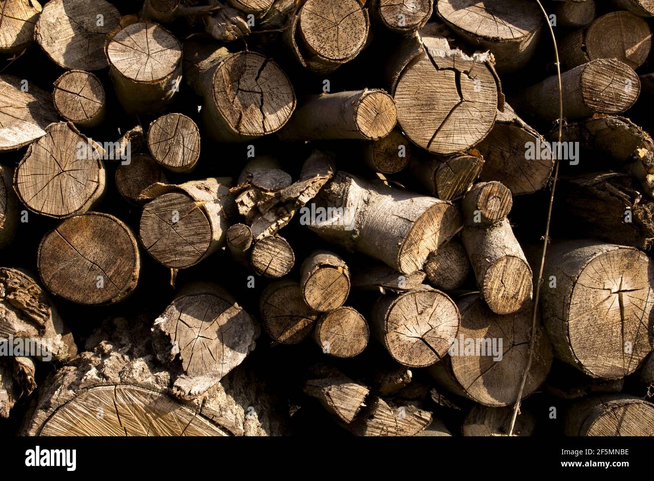 wood flattened into neat stacks Stock Photo - Alamy