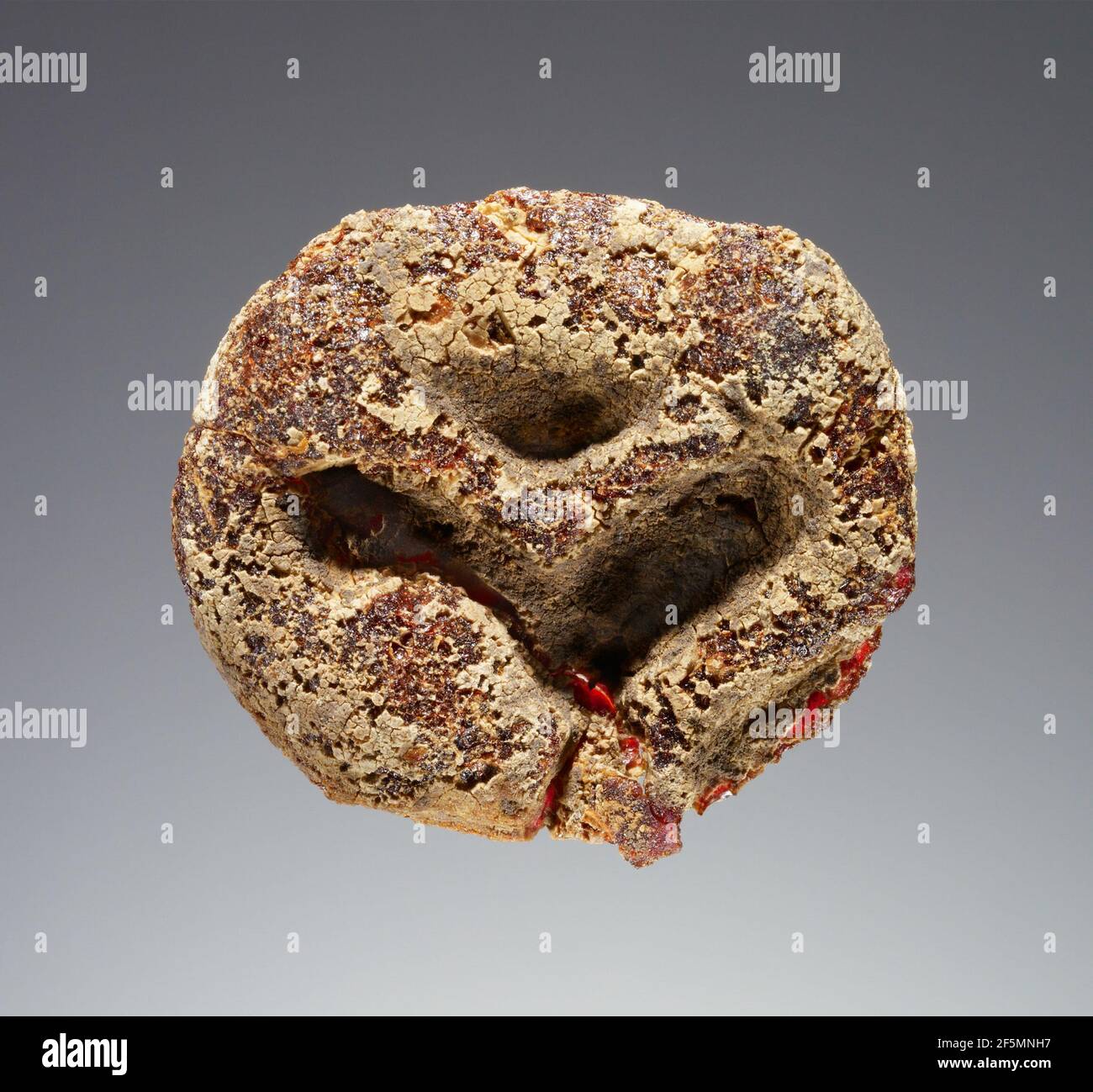 Circular animal hi-res stock photography and images - Alamy