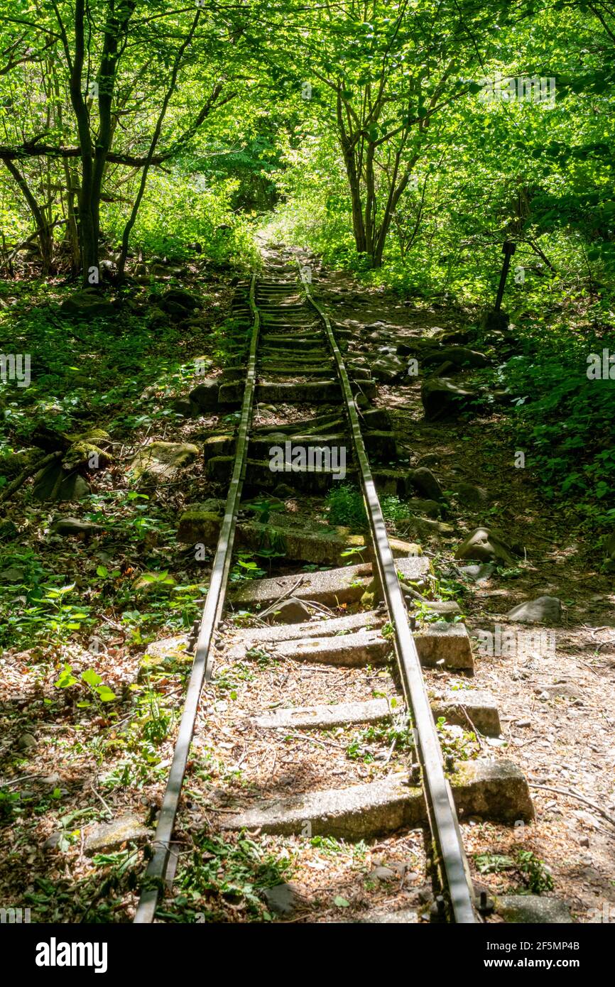Old abandoned mining train rails in the dark forest Stock Photo - Alamy