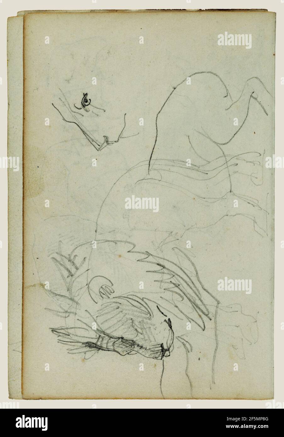 Lion studies. Théodore Géricault (French, 1791 - 1824 Stock Photo - Alamy