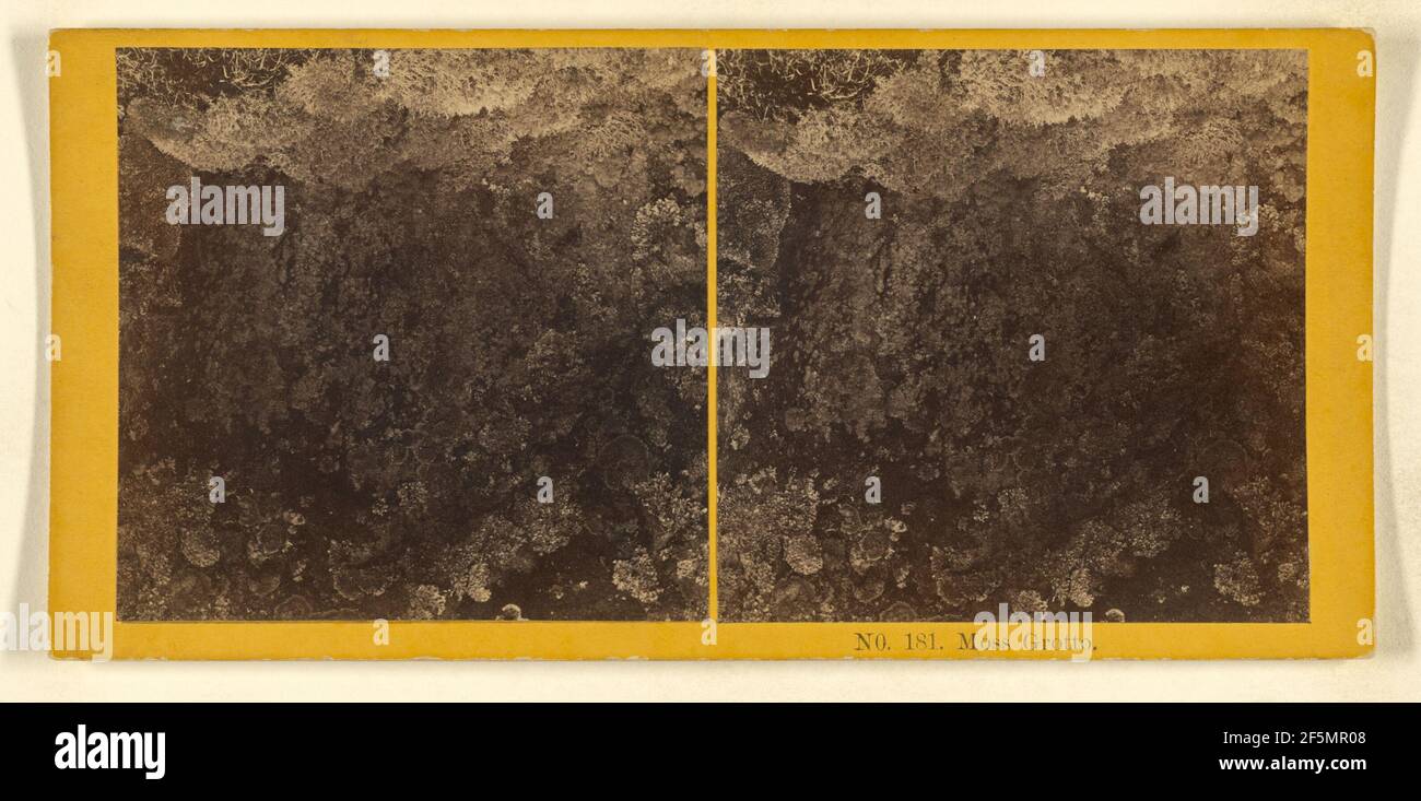 Moss Grotto.. Benjamin West Kilburn (American, 1827 - 1909 Stock Photo ...