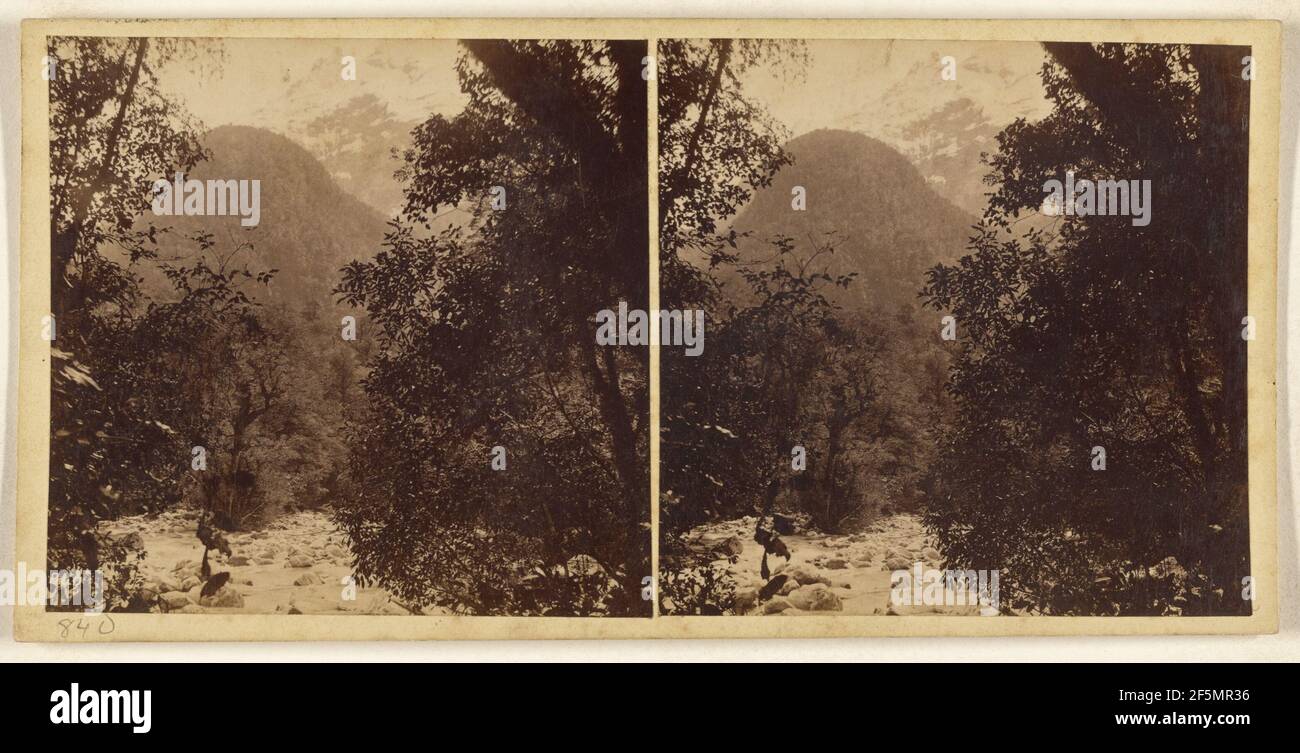 Milford Sound - Lake Ada. On the Poseidon River.. Burton Brothers (New ...