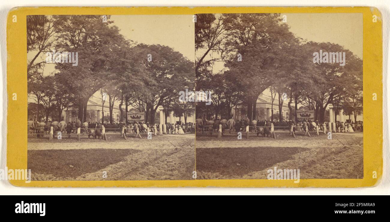 Election Scene. Jerome Nelson Wilson (American, 1827 - 1897, active ...