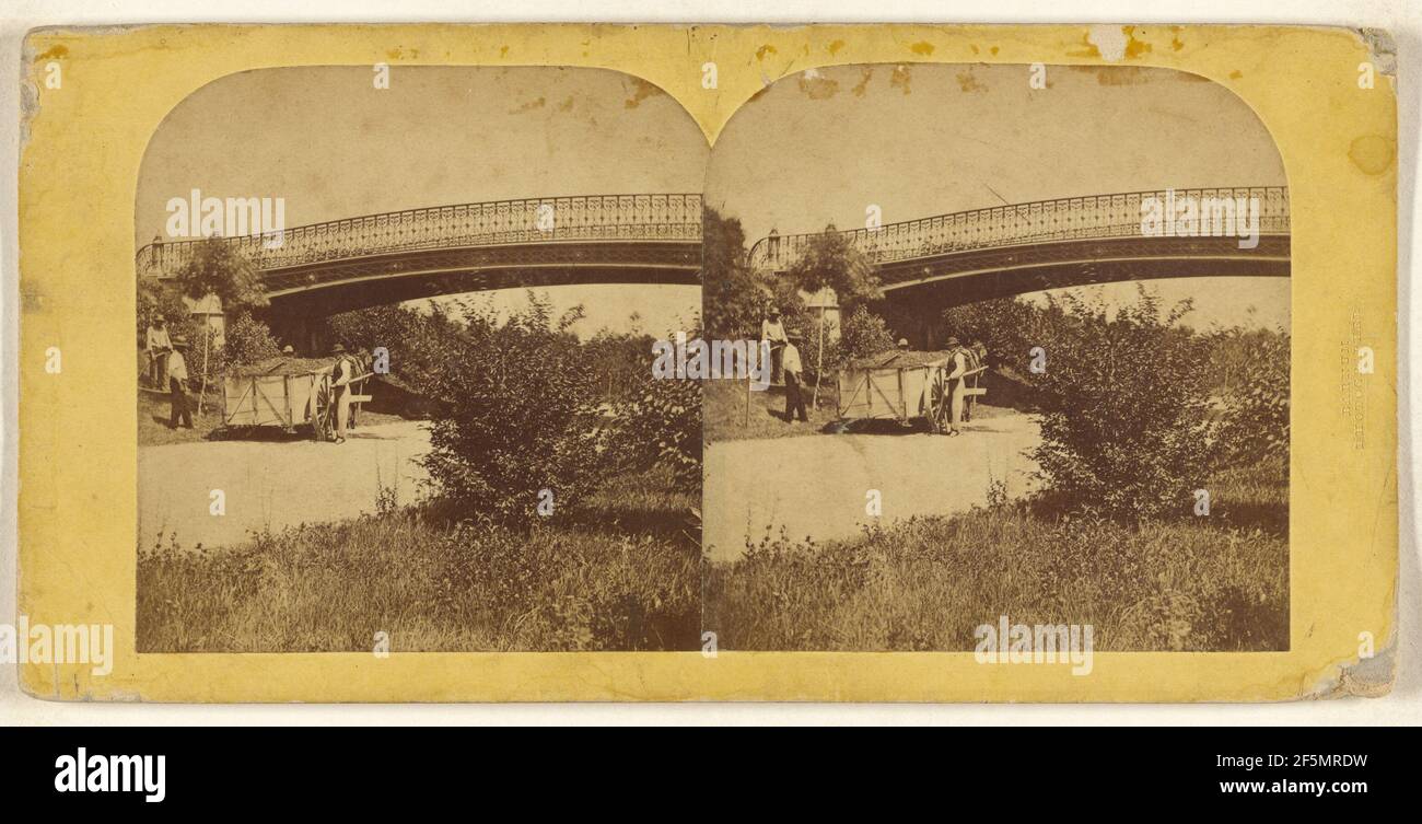 Arch No. 19 Iron, Central Park, New York City. Deloss Barnum (American ...
