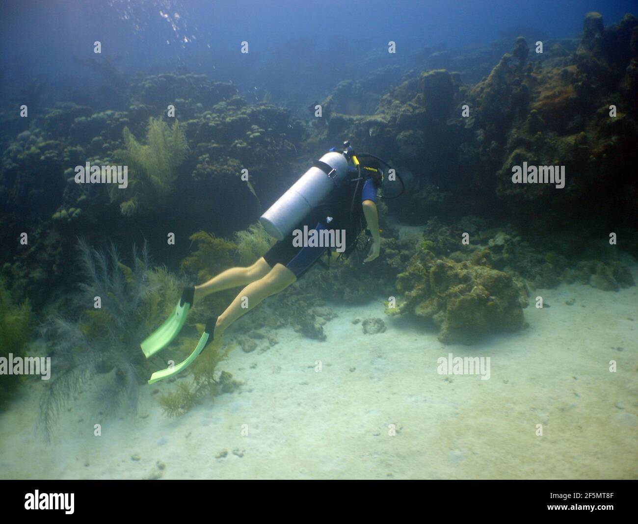 Scenic shot of Scuba diver enjoying the beautiful coral reefs under the ...
