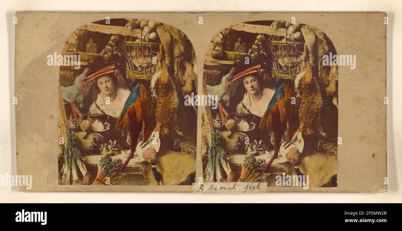 Nice Duck, Sir?. Joseph John Elliott (British, 1835 - 1903 Stock Photo ...