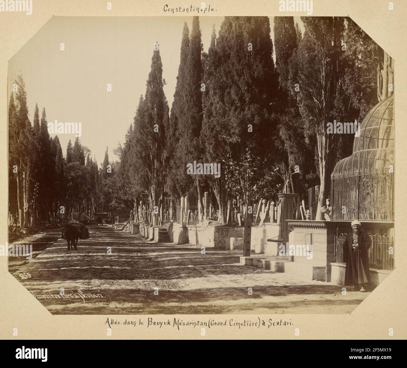 Turkish Cemetery at Scutari. Abdullah Frères (Armenian, active 1860s ...